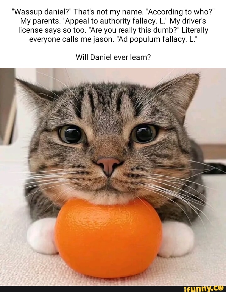 Fallacy memes. Best Collection of funny Fallacy pictures on iFunny