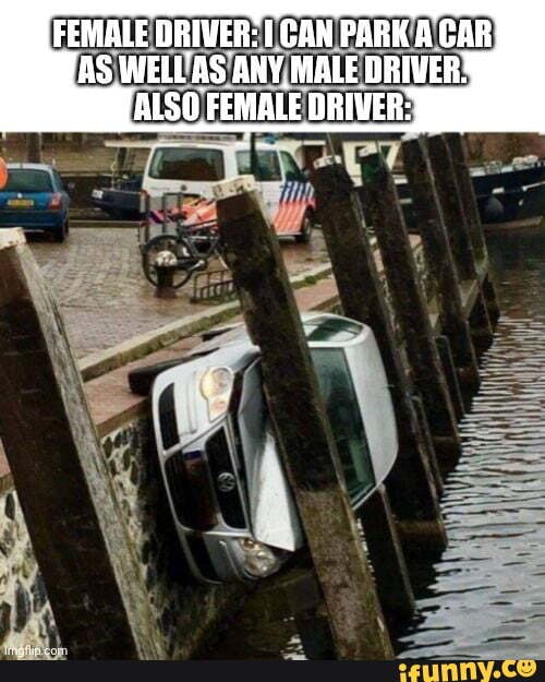 Female_driver memes. Best Collection of funny Female_driver pictures on ...