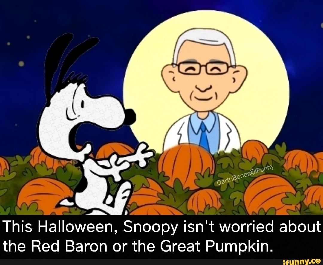 This Halloween, Snoopy isn't worried about the Red Baron or the Great ...