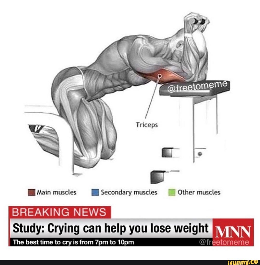 BB Main muscles Secondary muscles Other muscles BREAKING NEWS Study ...