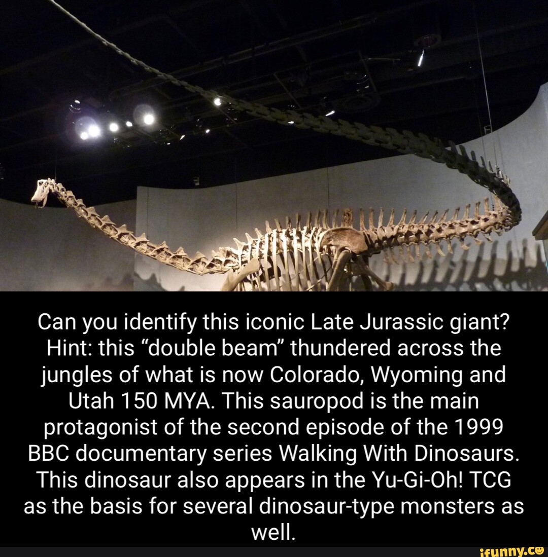 Can you identify this iconic Late Jurassic giant? Hint: this "double ...