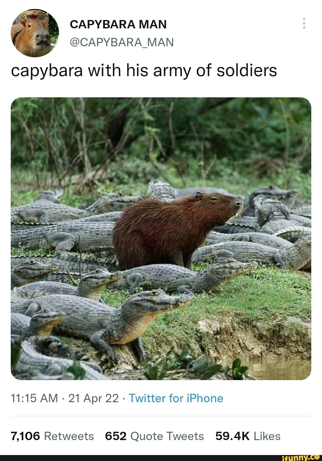 Capybara with his army of soldiers AM - 21 Apr 22 - Twitter for iPhone ...