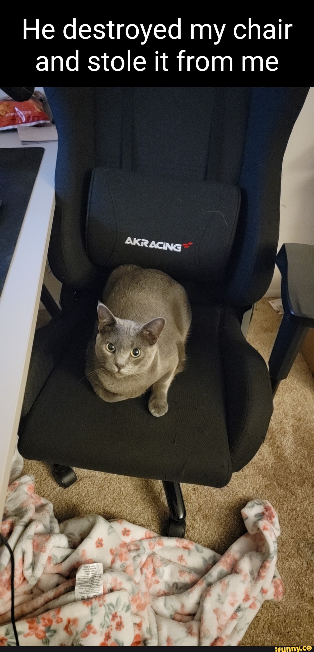 Picture memes yawDPFfZA by Kingofmemetheives: 16 comments - iFunny