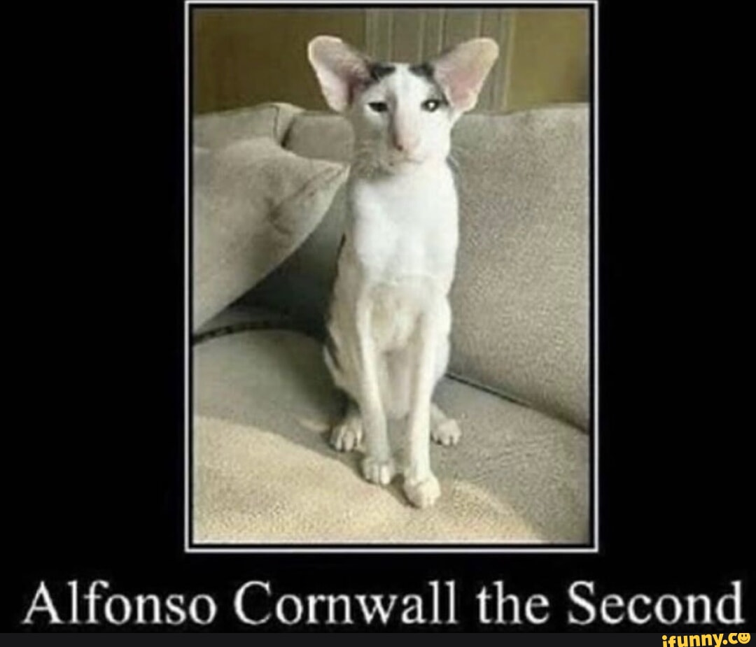 Cornwall memes. Best Collection of funny Cornwall pictures on iFunny