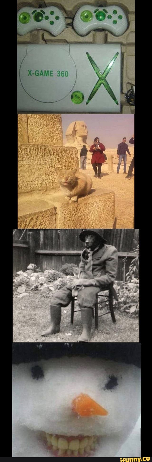 Best_shitposter memes. Best Collection of funny Best_shitposter ...