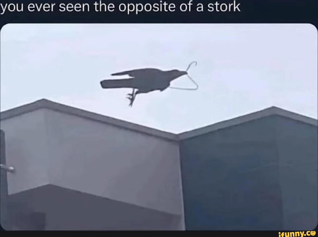Stork memes. Best Collection of funny Stork pictures on iFunny