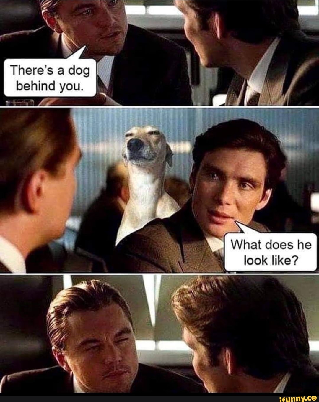 There's a dog I behind you. What does he look like? - iFunny