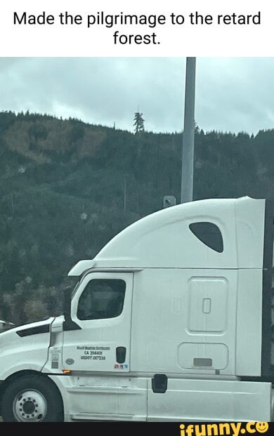 Made the pilgrimage to the retard forest. II - iFunny