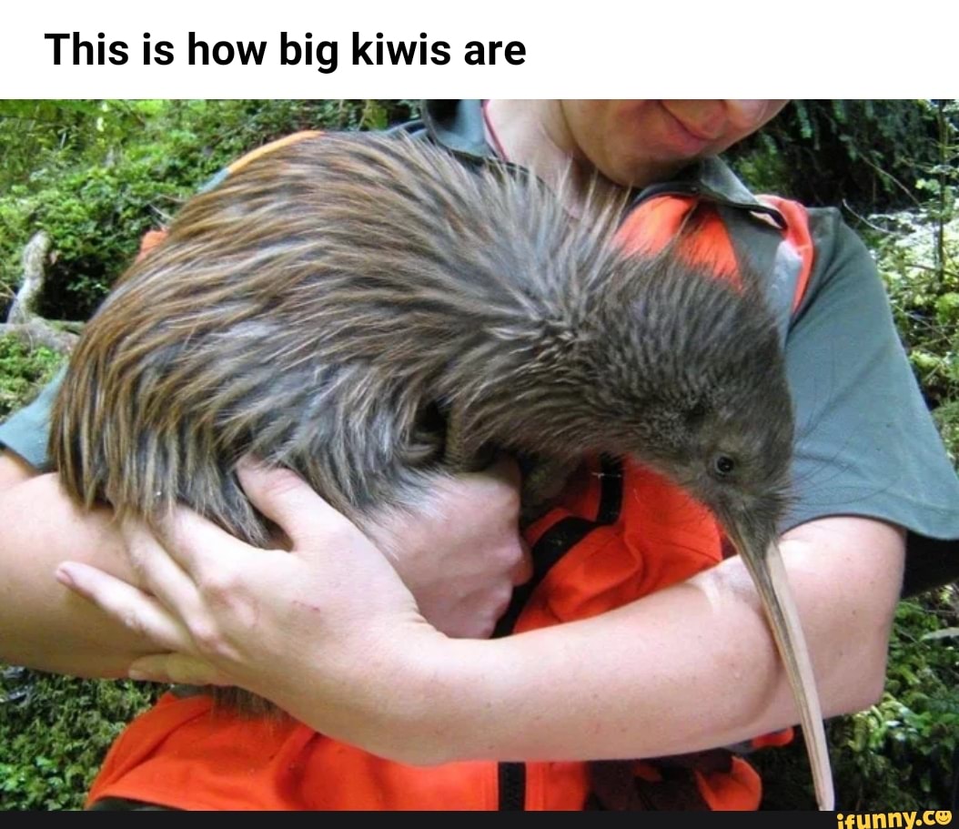 When you're eating a soft food and you bite into something crunchy ...