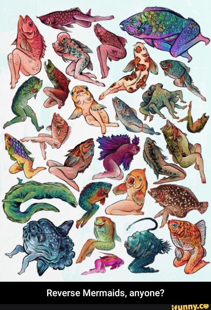 Reverse Mermaids, anyone? - Reverse Mermaids, anyone? - iFunny