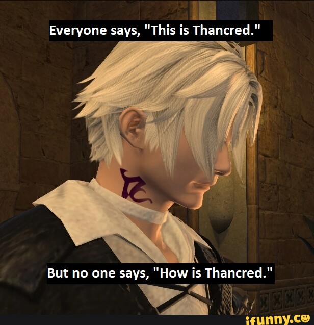 Thancred memes. Best Collection of funny Thancred pictures on iFunny