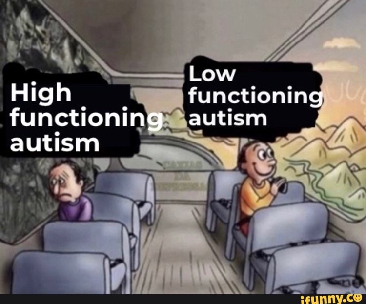 Low High functioning functioning autism autism - iFunny