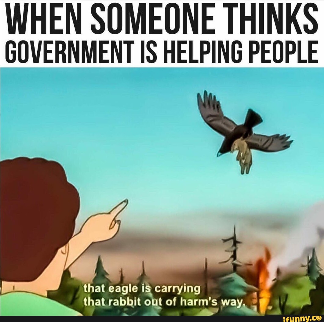 And there is a black cat, - iFunny