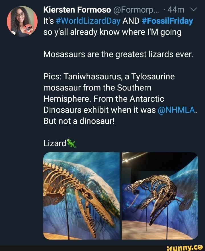 Taniwhasaurus memes. Best Collection of funny Taniwhasaurus pictures on ...