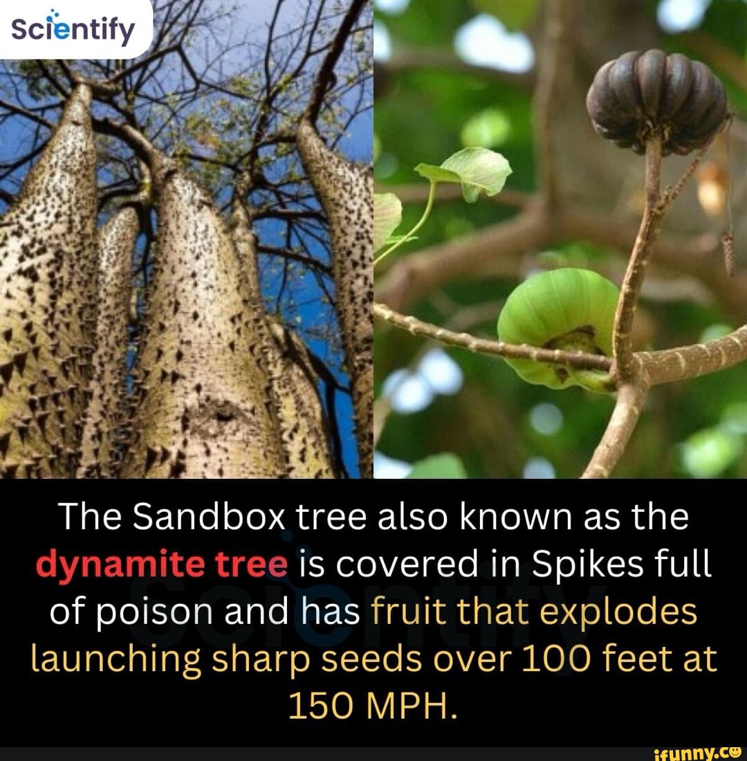 “Listen kid, nobody cares. Worry about yourself, your family and the ...