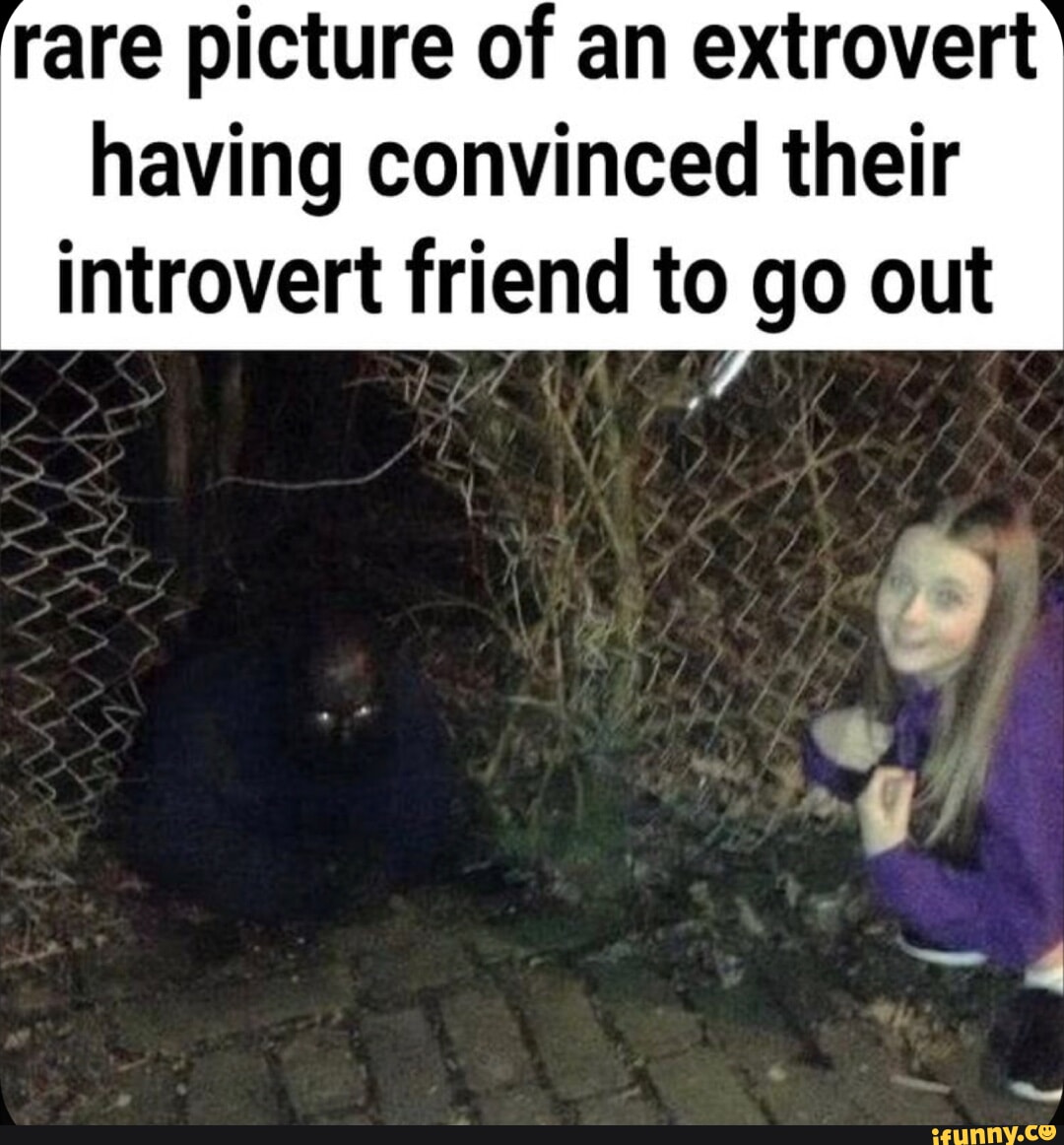 Extrovert memes. Best Collection of funny Extrovert pictures on iFunny