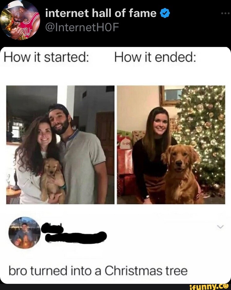 Ty, internet hall of fame How it started: How it ended: bro turned into ...