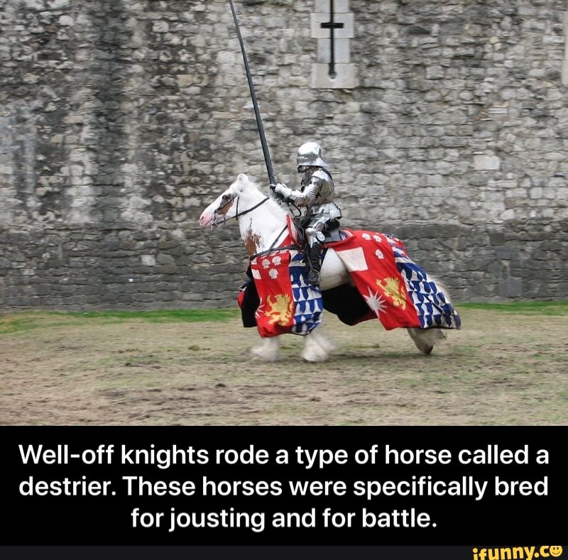Destrier Breed