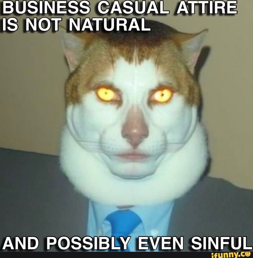 BUSINESS CASUAL ATTIRE IS NOT NATURAL AND POSSIBLY EVEN SINFUL - iFunny