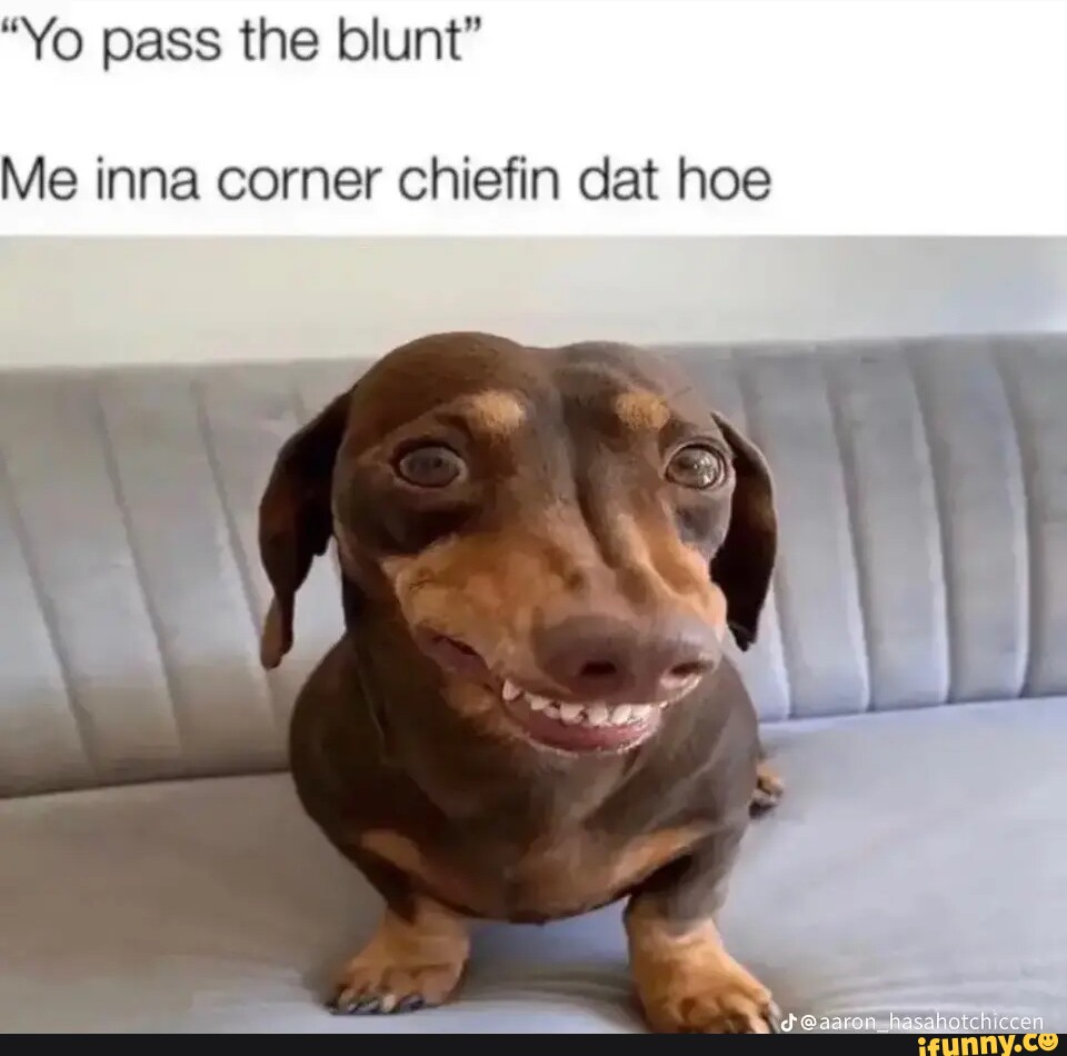 "Yo pass the blunt" Me inna corner chiefin dat hoe I - iFunny