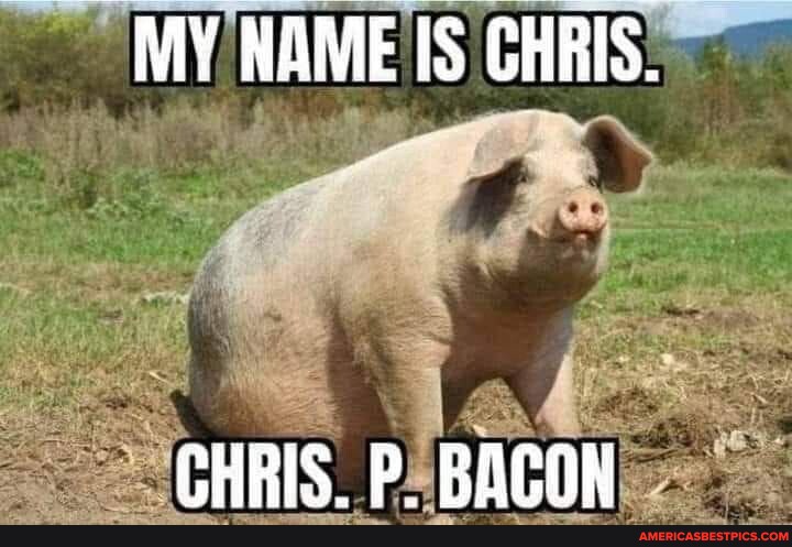 MY NAME IS CHRIS. CHRIS. P. BACON - America’s best pics and videos