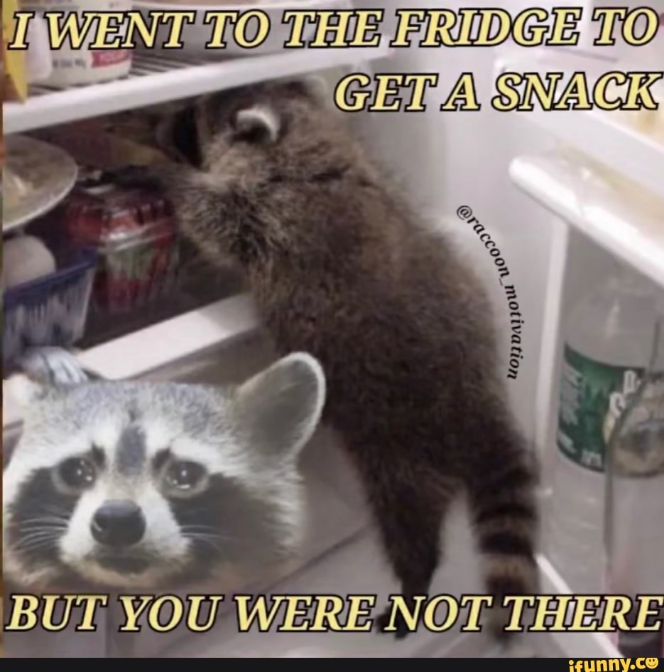 Snagk memes. Best Collection of funny Snagk pictures on iFunny