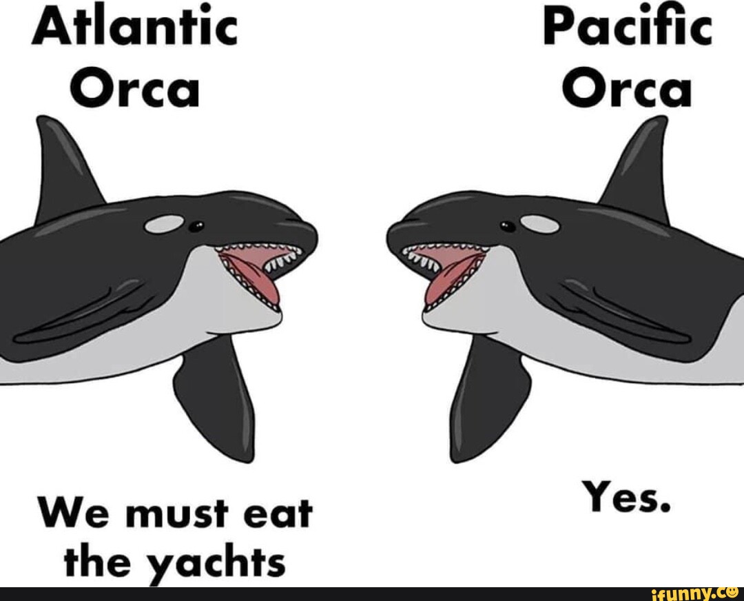 Picture memes UM3vMgSe7 by XXXONAMEMESTREAK: 1.8K comments - iFunny