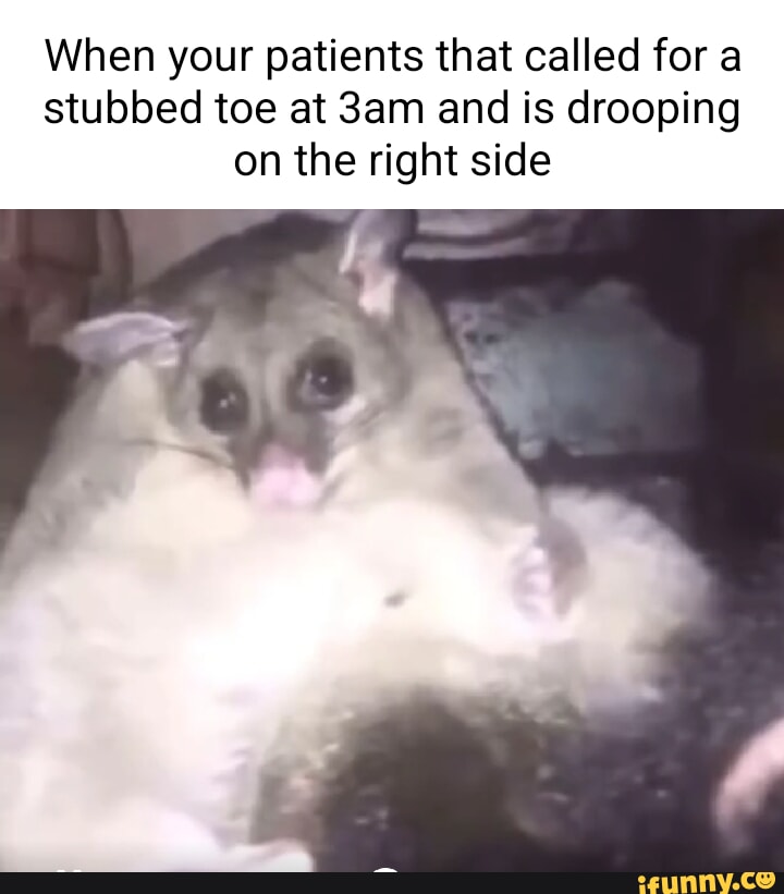 Drooping memes. Best Collection of funny Drooping pictures on iFunny