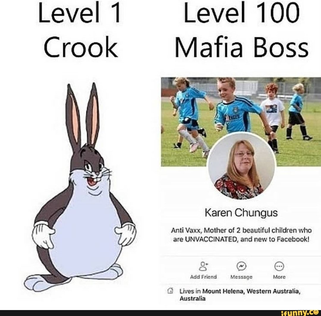 Level 1 Level 100 Crook Mafia Boss Karen Chungus Anti Vaxx, Mother of 2 ... Level 1 Level 100 Crook Mafia Boss Karen Chungus Anti Vaxx, Mother of 2 ...
