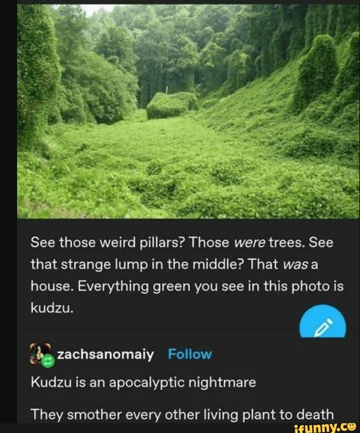 See those weird pillars? Those were trees. See that strange lump in the ...