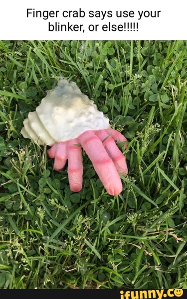 Blinker memes. Best Collection of funny Blinker pictures on iFunny