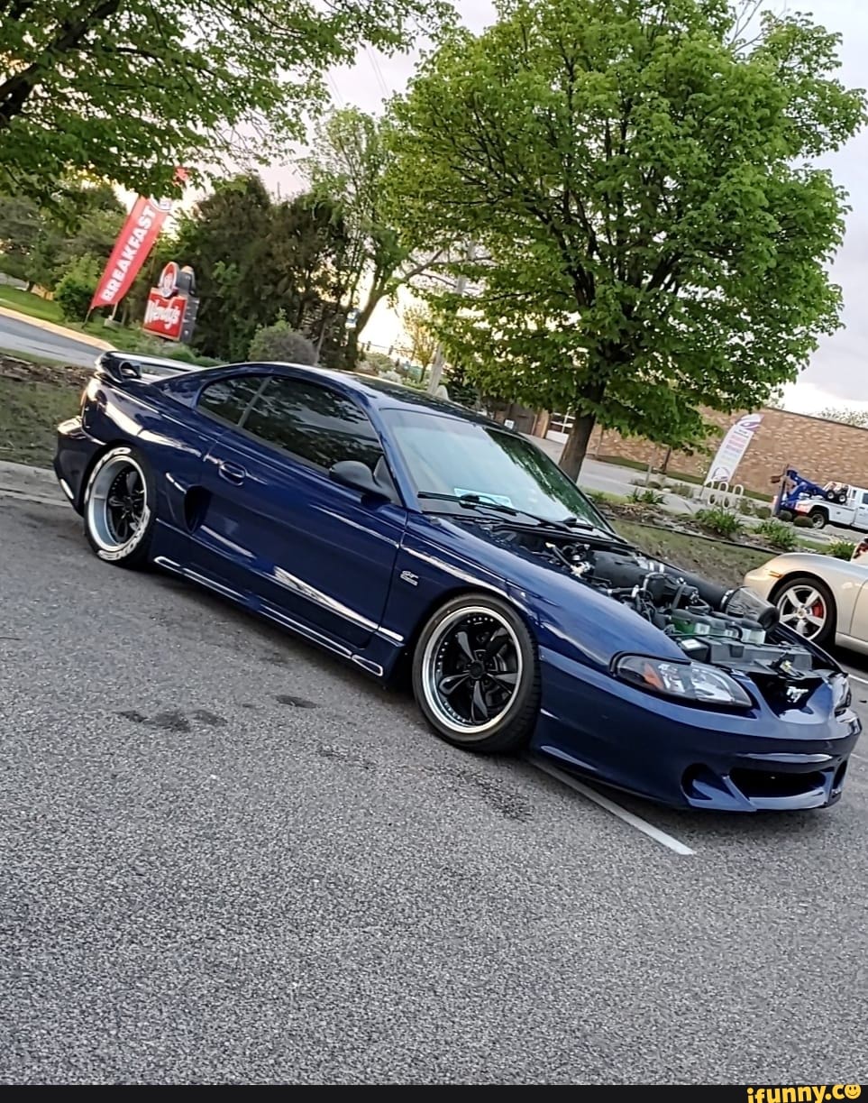 Coyoteswap memes. Best Collection of funny Coyoteswap pictures on iFunny