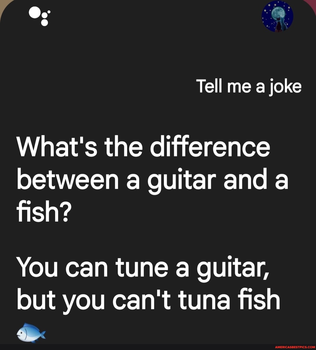 Tell me a joke Og What's the difference between a guitar and a fish ...