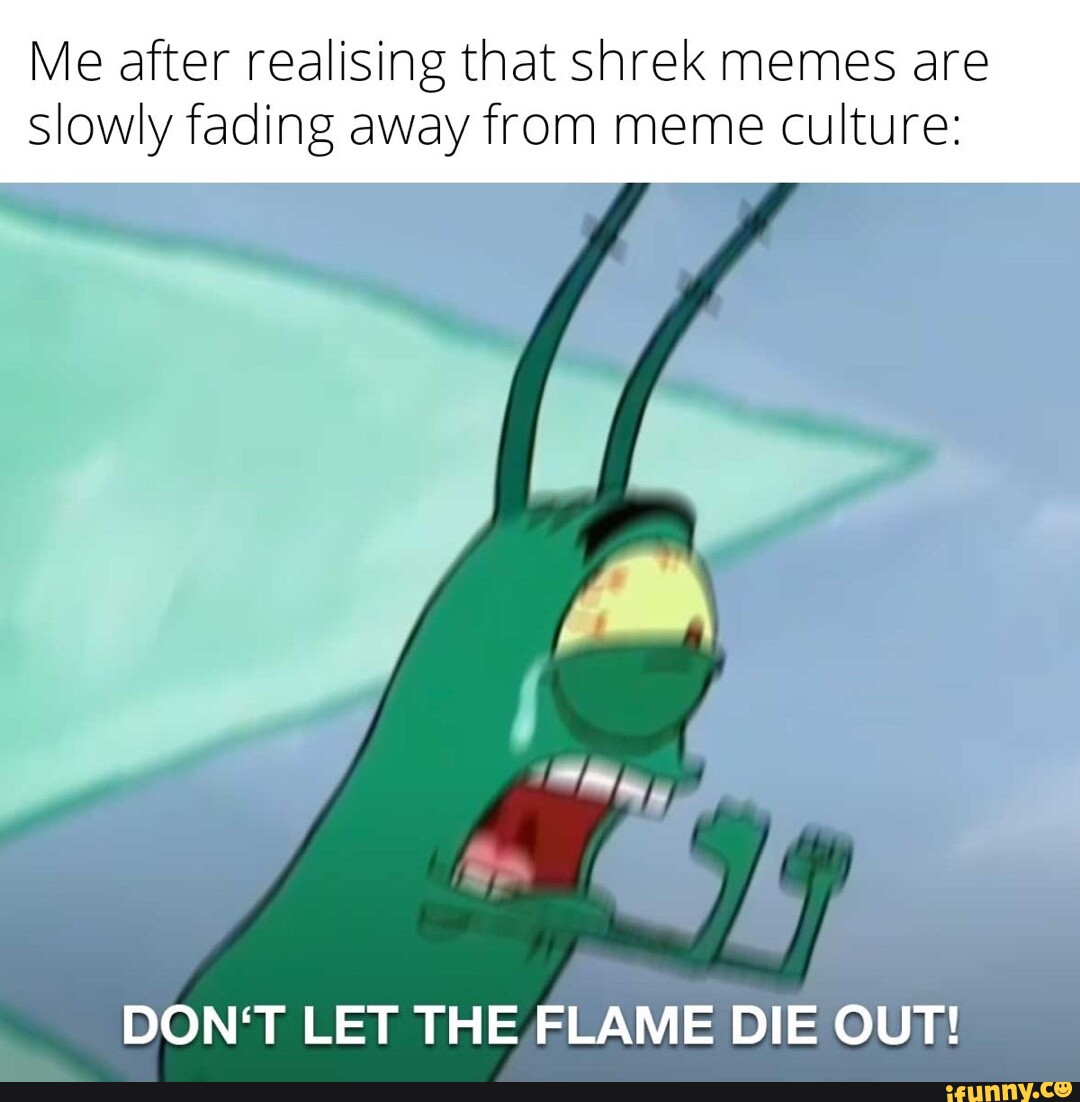 Me after realising that shrek memes are Slowly fading away from meme ...