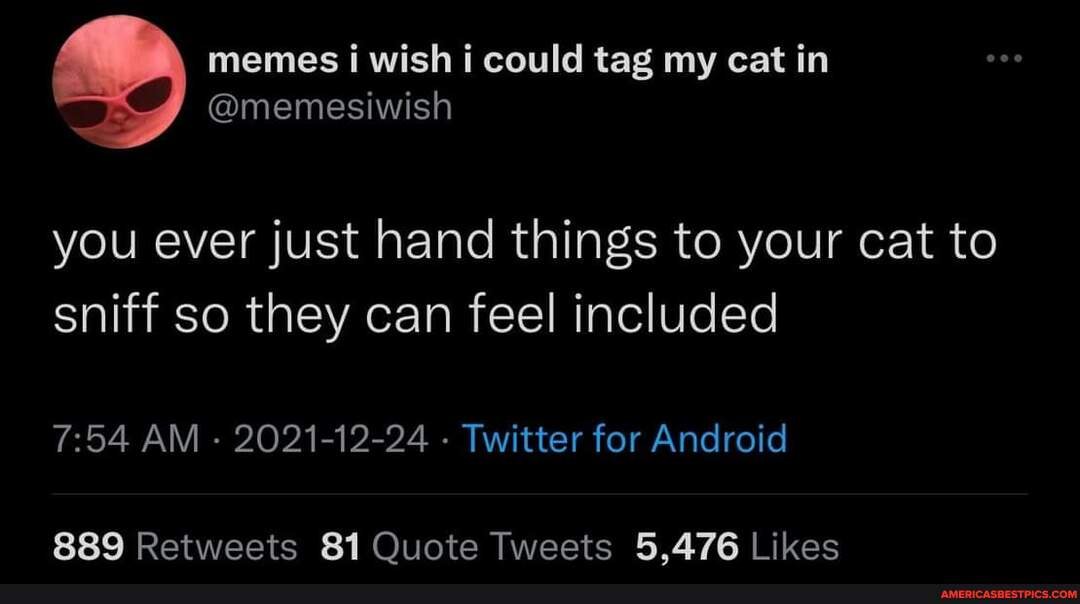 Memes wish could tag my cat in = @memesiwish you ever just hand things ...