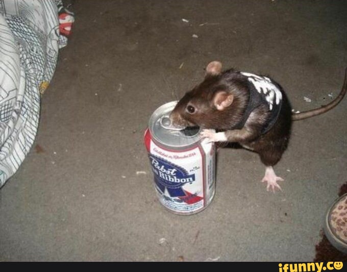 Funny Pbr Memes