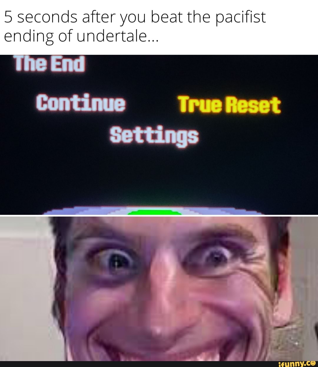 5 seconds after you beat the pacifist ending of undertale... Continue ...