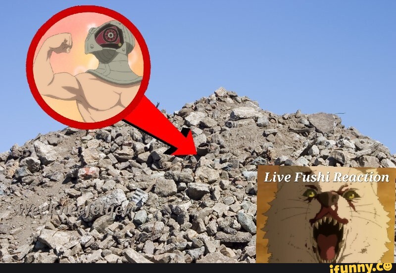 Fushi memes. Best Collection of funny Fushi pictures on iFunny