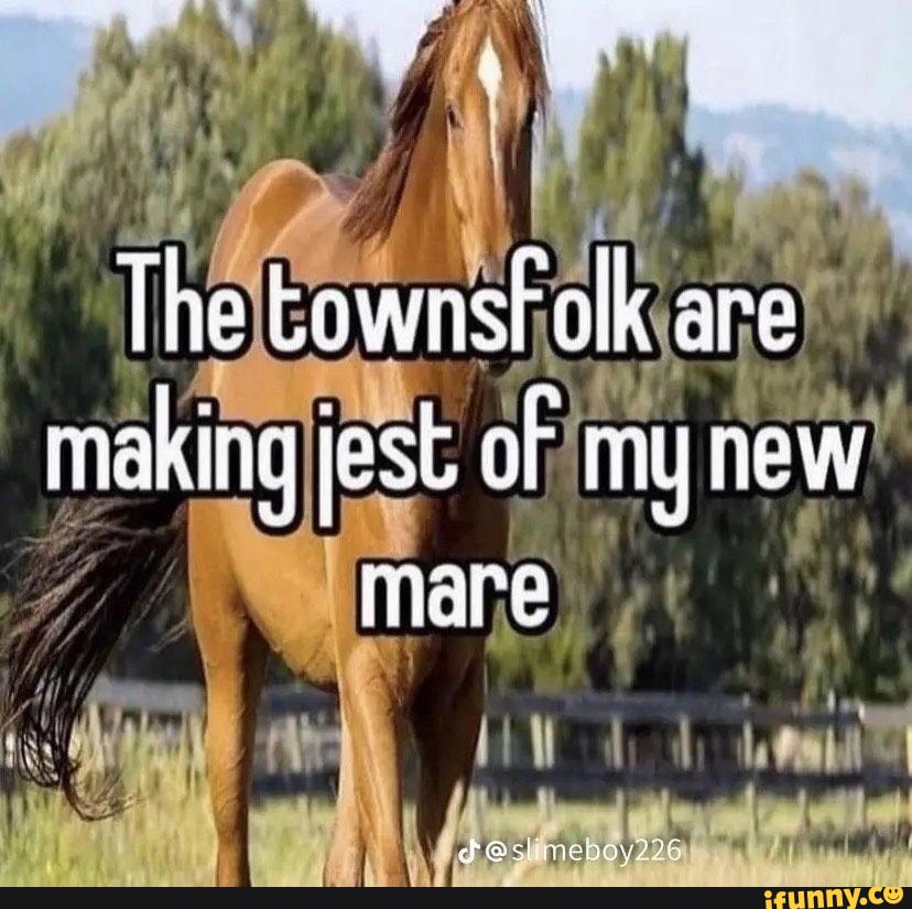 Mare Memes