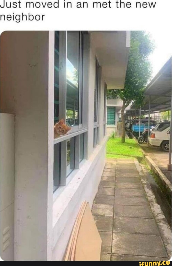 Neighbor memes. Best Collection of funny Neighbor pictures on iFunny