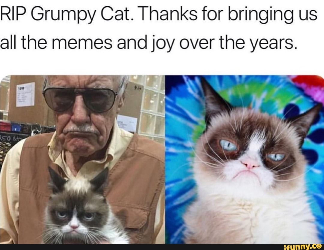 RIP Grumpy Cat. Thanks for bringing us all the memes and joy over the ...