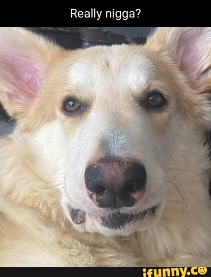 Dank_meme memes. Best Collection of funny Dank_meme pictures on iFunny