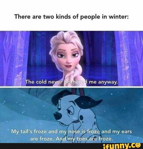 The Cold Never Bothered Me Anyway Meme