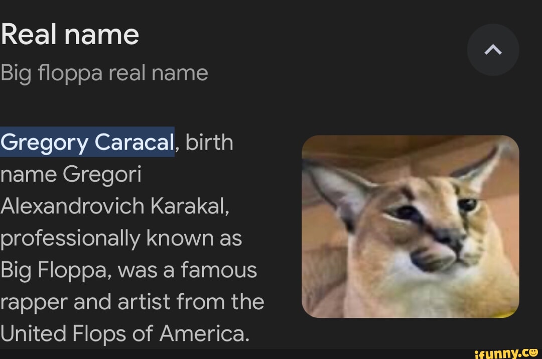 Caracal memes. Best Collection of funny Caracal pictures on iFunny