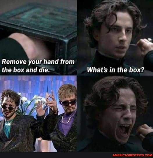 73 Remove your hand from the box and die. What's in the box? - America ...