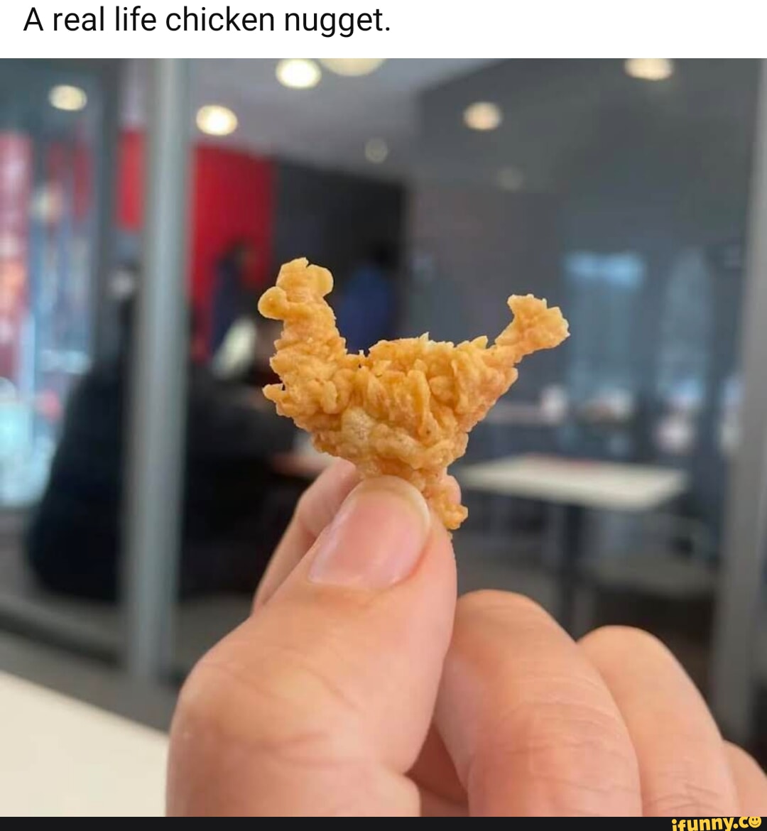 A real life chicken nugget. - iFunny
