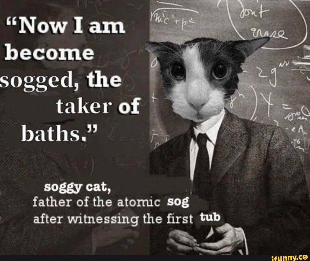 Soggy memes. Best Collection of funny Soggy pictures on iFunny