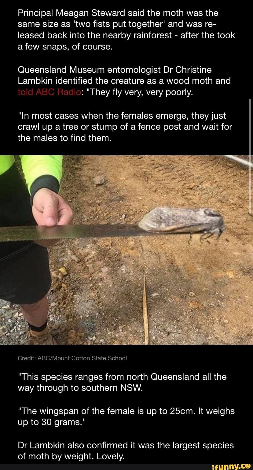 Meagan memes. Best Collection of funny Meagan pictures on iFunny