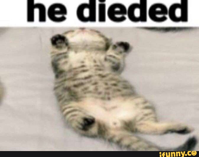 Dieded memes. Best Collection of funny Dieded pictures on iFunny