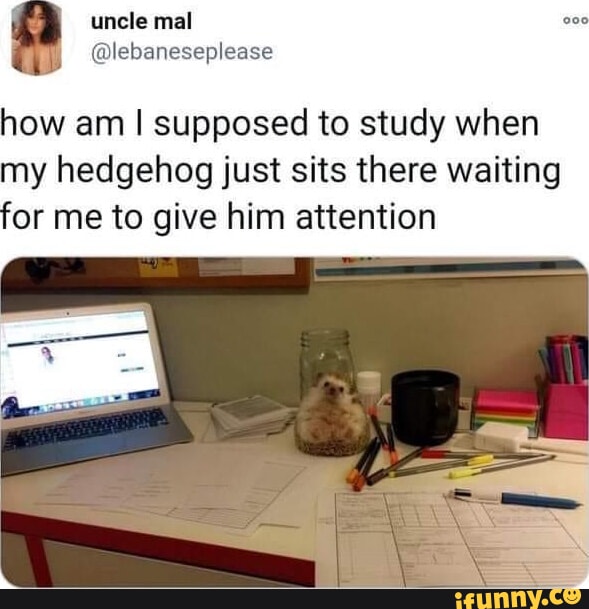 HENTAI ANIMALS BICK HENTAI ORC DICK FUTA DICK - iFunny